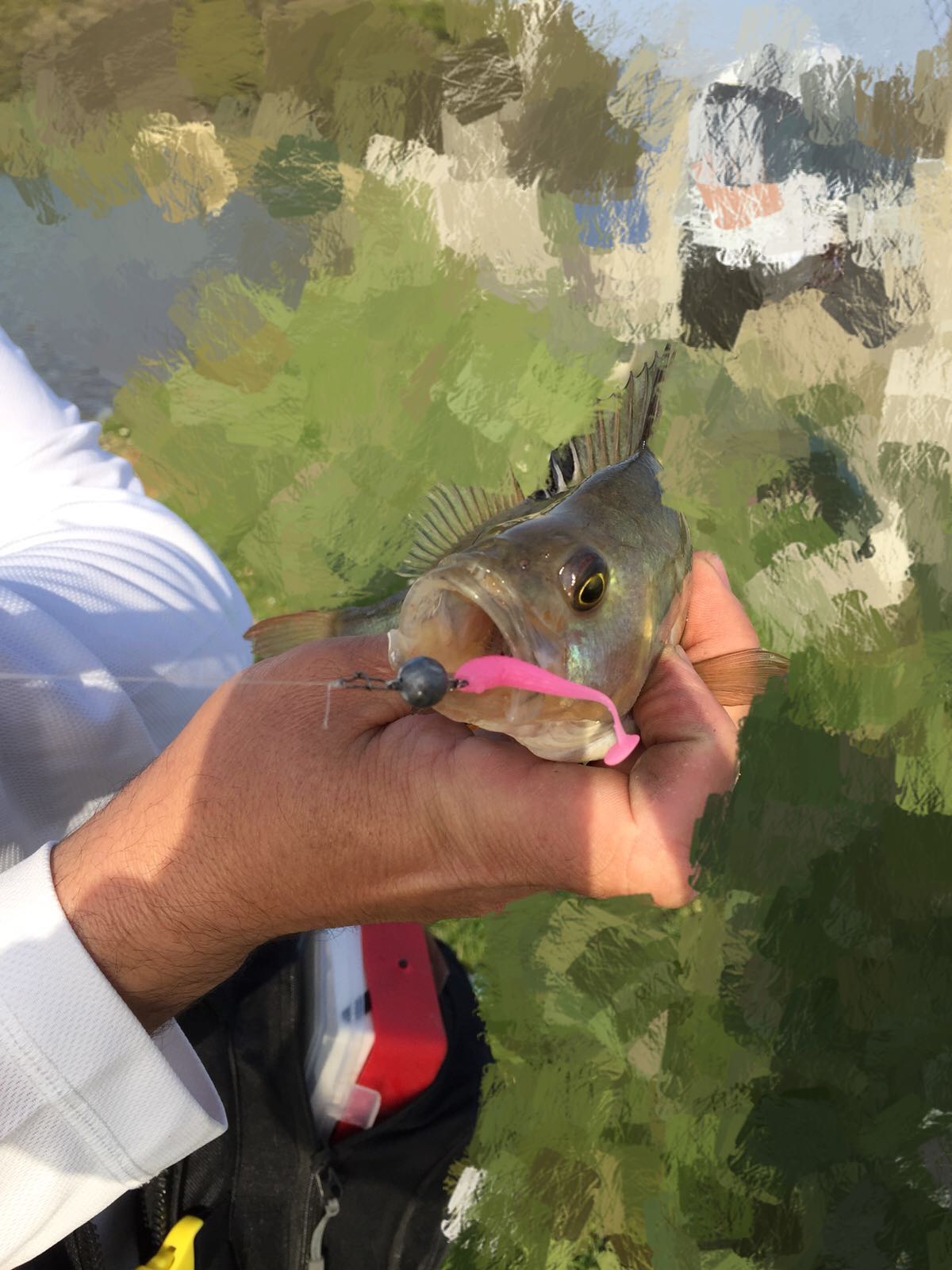 Lucky John Baby Rockfish 1.4'' (3.56 cm) 20P Silikon Yem Lucky John Türkiye