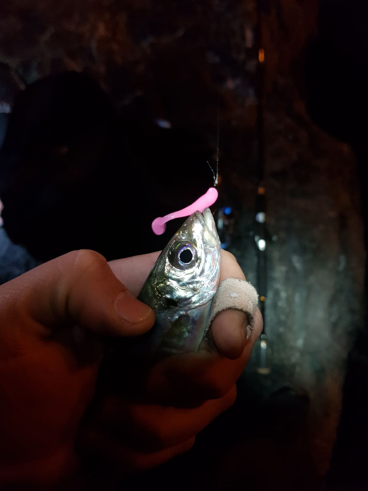 Lucky John Baby Rockfish 1.4'' (3.56 cm) 20P Silikon Yem Lucky John Türkiye