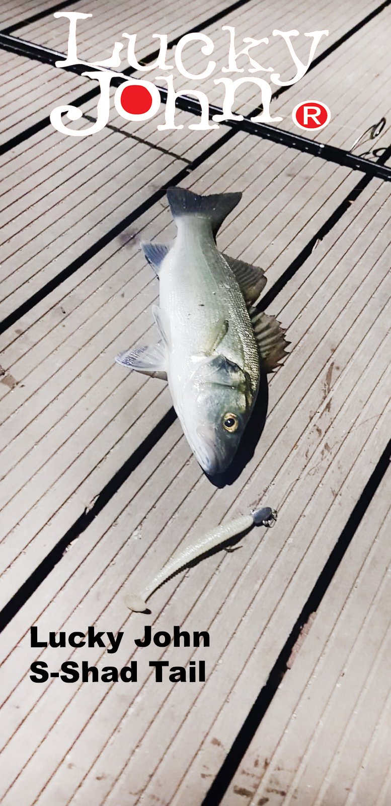 Lucky John S-Shad Tail 3.8'' (9.65 cm) 5P Silikon Yem Lucky John Türkiye